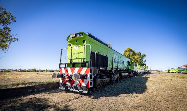 El FER impulsa una biblioteca a bordo del Tren Patagónico para promover ...