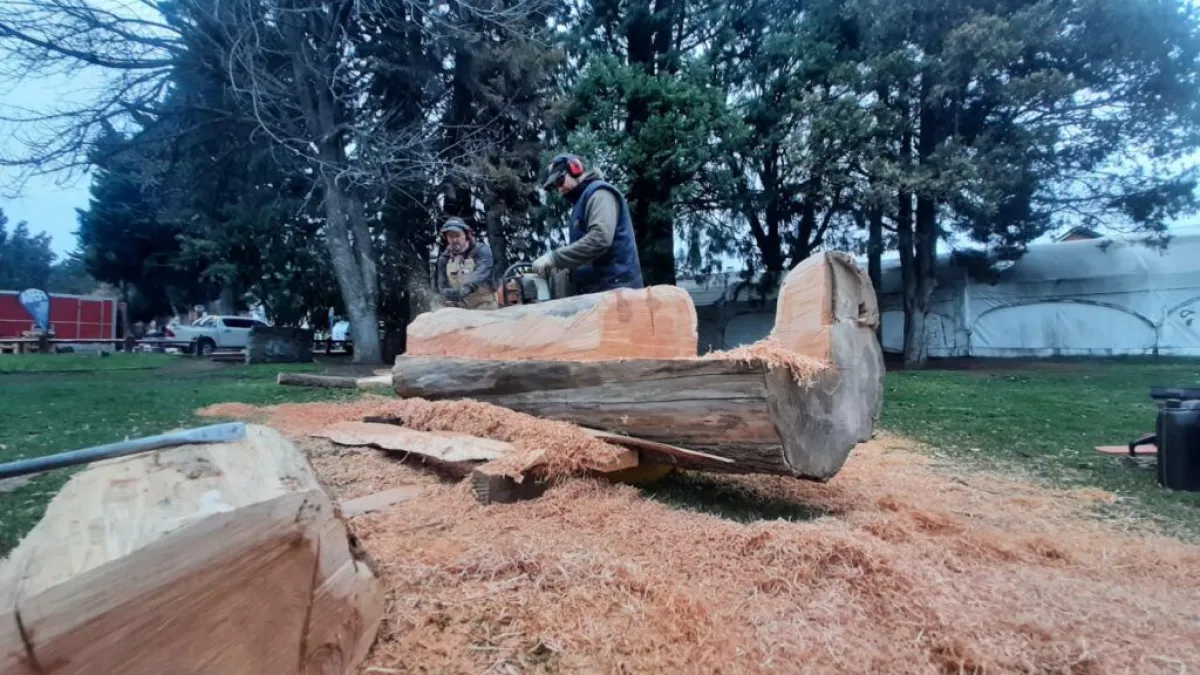 La madera cobra vida en la Fiesta Nacional de la Nieve con la escultura ...